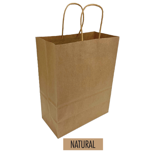 Bulk Paper Bags (Blank) 250pcs per Box - 10"W x 5"D x 13"H – Eco Bag Plus